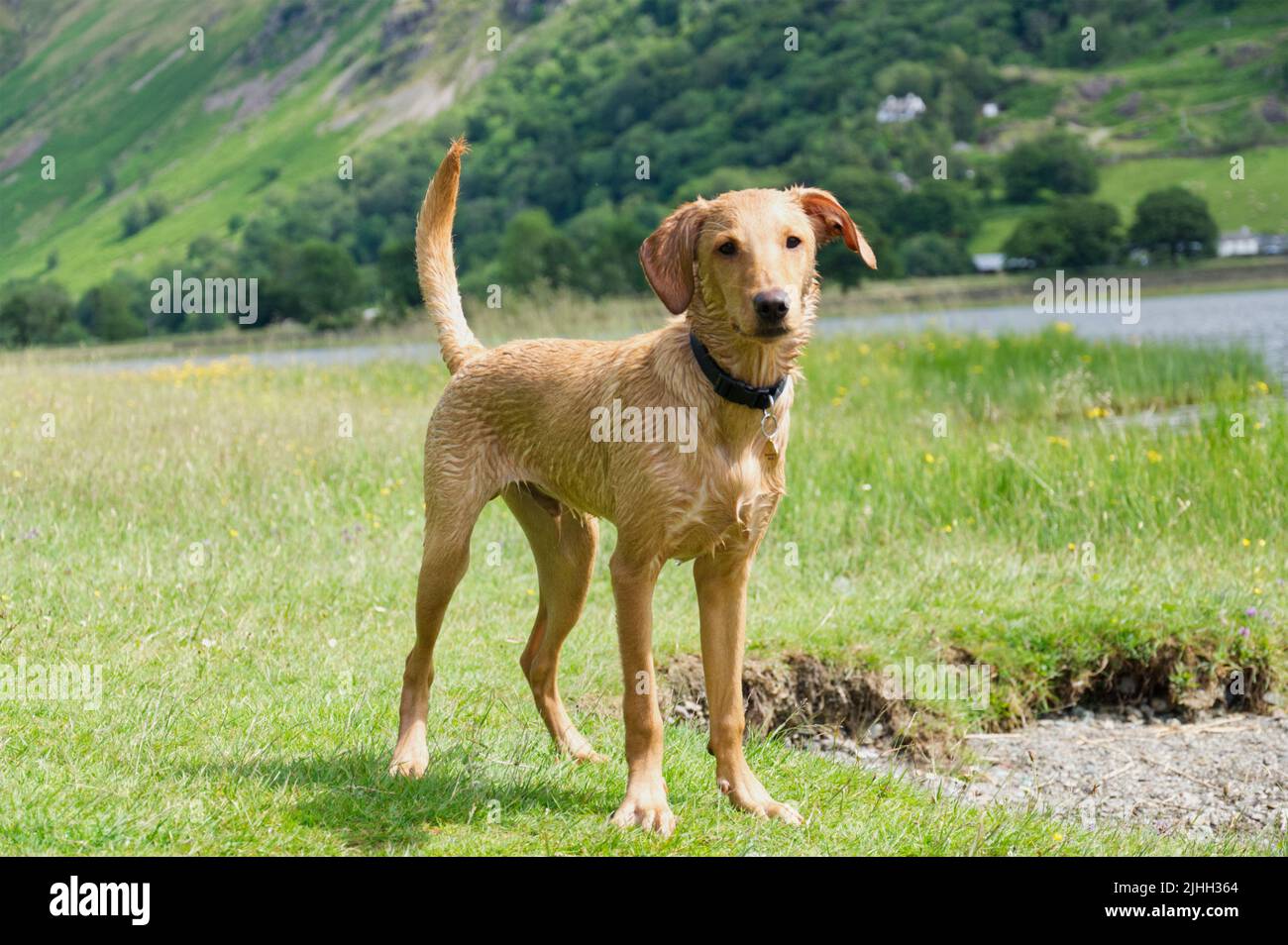 6 month old hi-res stock photography and images - Alamy