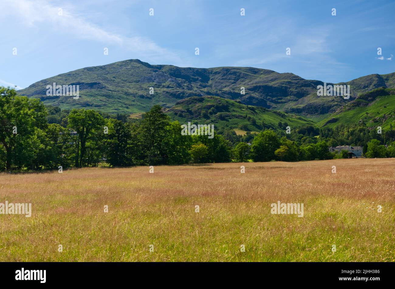 The Old Man of Coniston seen from fields in the Village of Coniston ...
