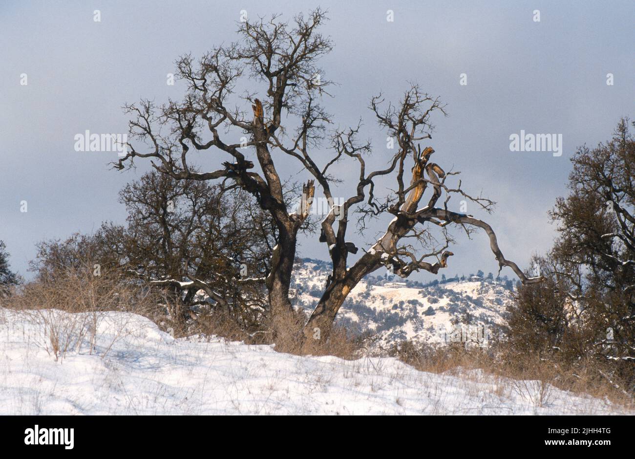 Winter scene in Tehachapi, California Stock Photo - Alamy