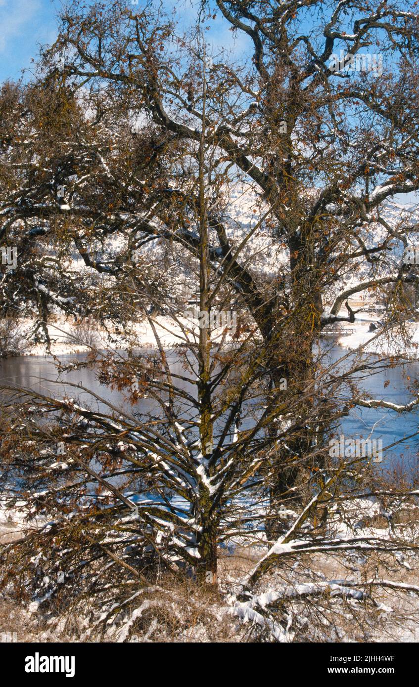 Winter scene in Tehachapi, California Stock Photo - Alamy