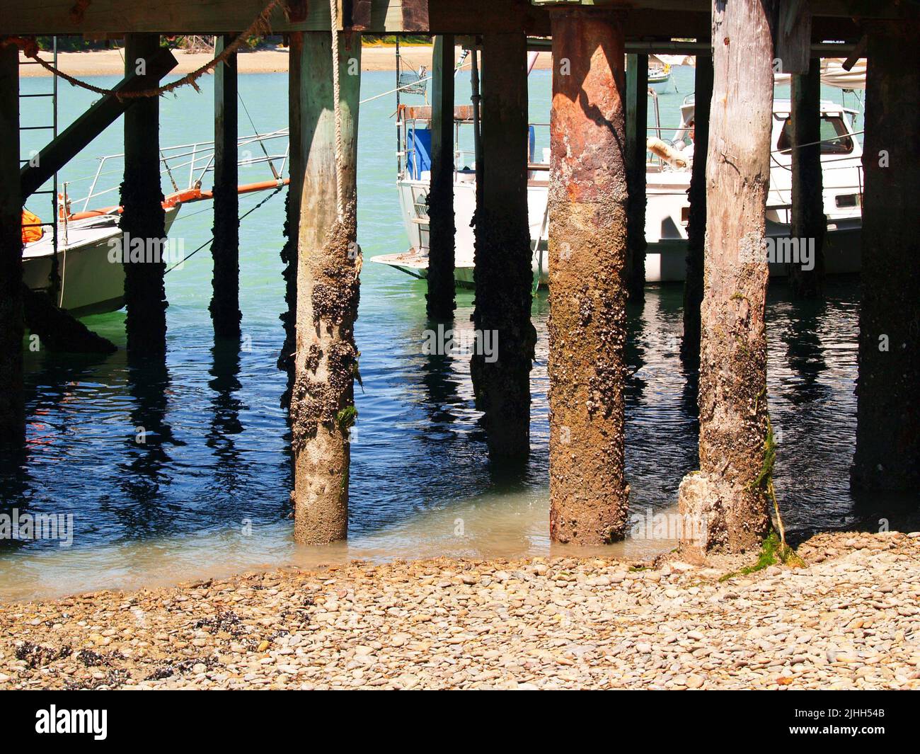 Symmetric seal hi-res stock photography and images - Alamy