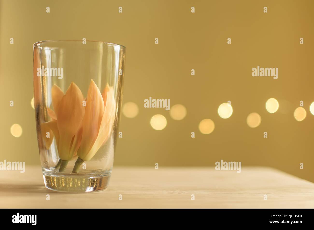 Son champa also known as Golden Champak, Champa, Son chafa kept in ...