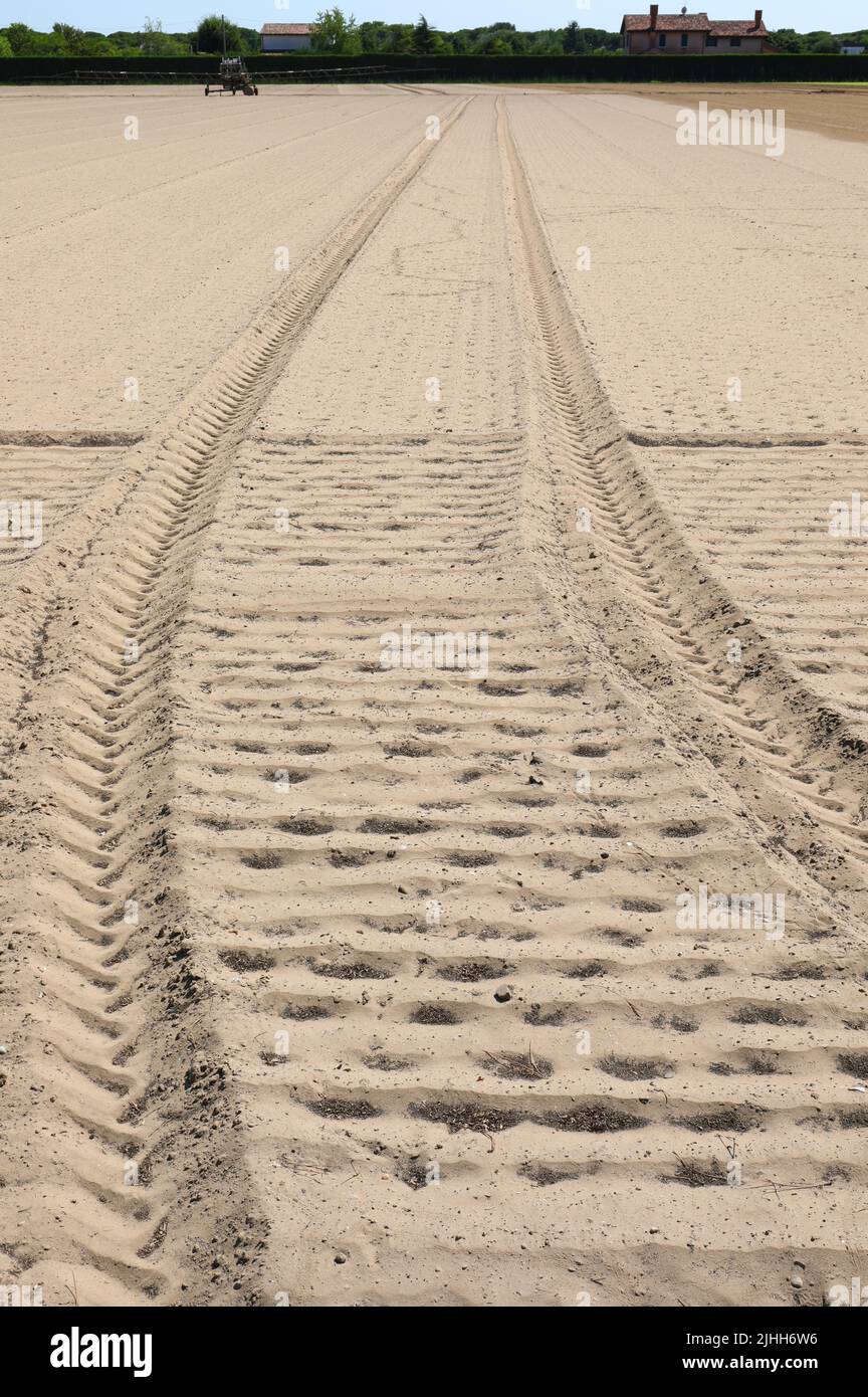 completely dry field due to the drought and the marks left by the ...