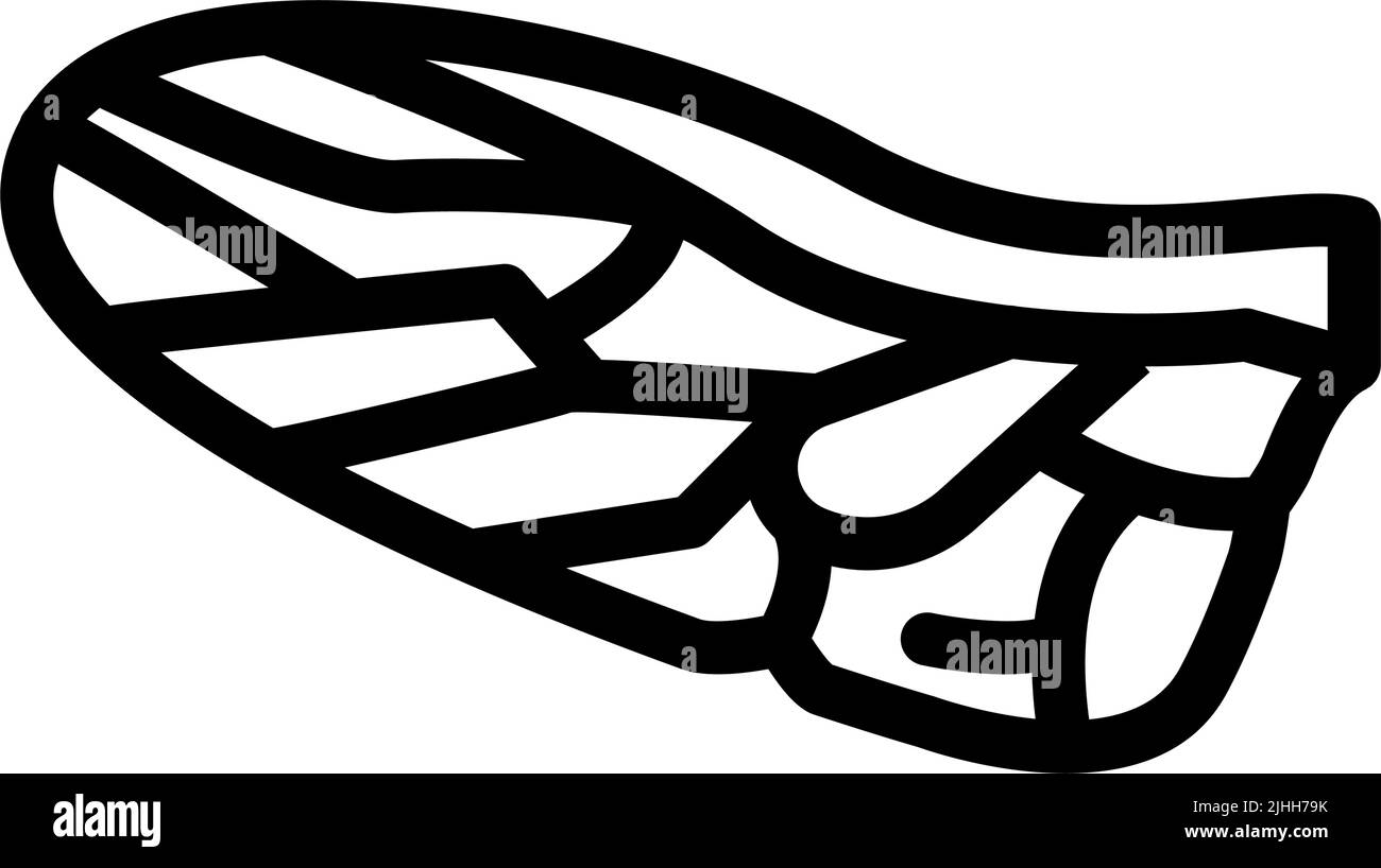 fly wing line icon vector illustration Stock Vector Image & Art - Alamy