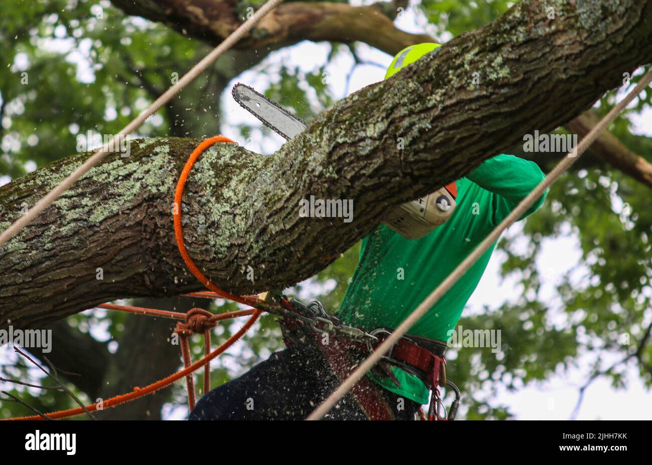 Strapped in harness hi-res stock photography and images - Alamy