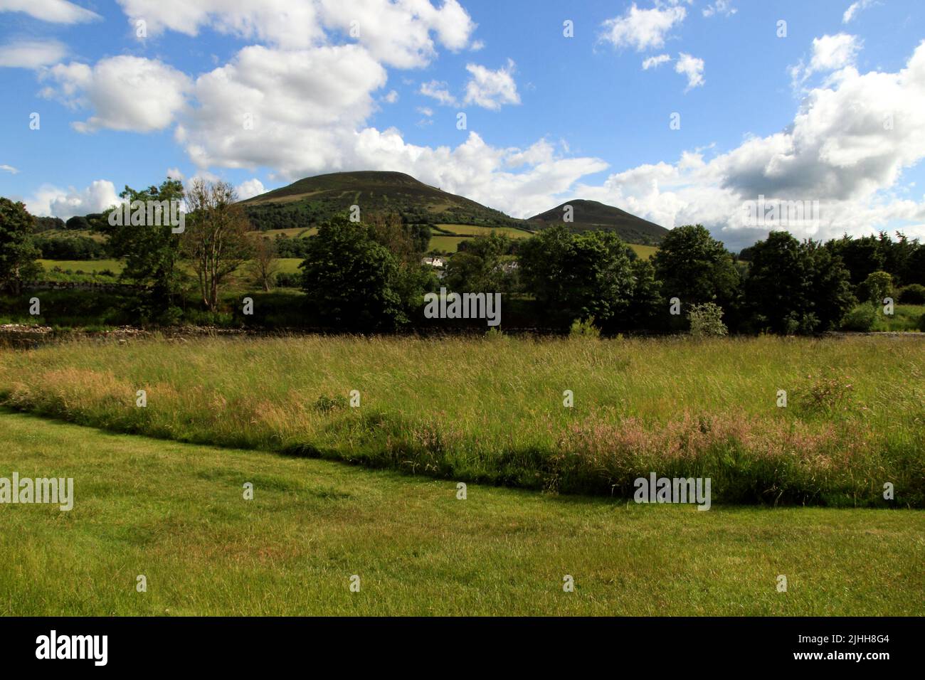 Countryside landscape, Green fields with the Eildon Hills in the ...