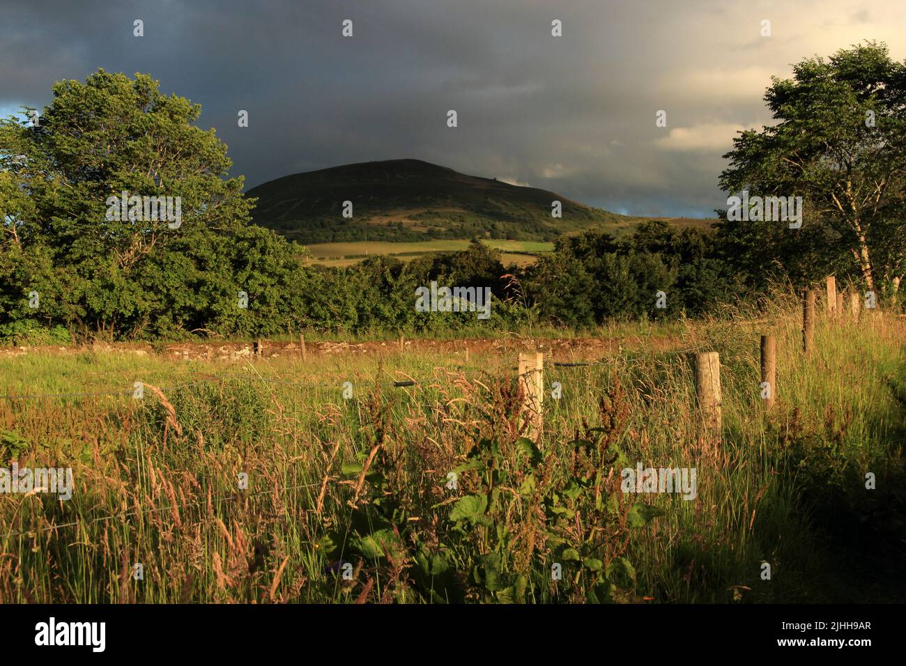 Countryside landscape, Green fields with the Eildon Hills in the ...