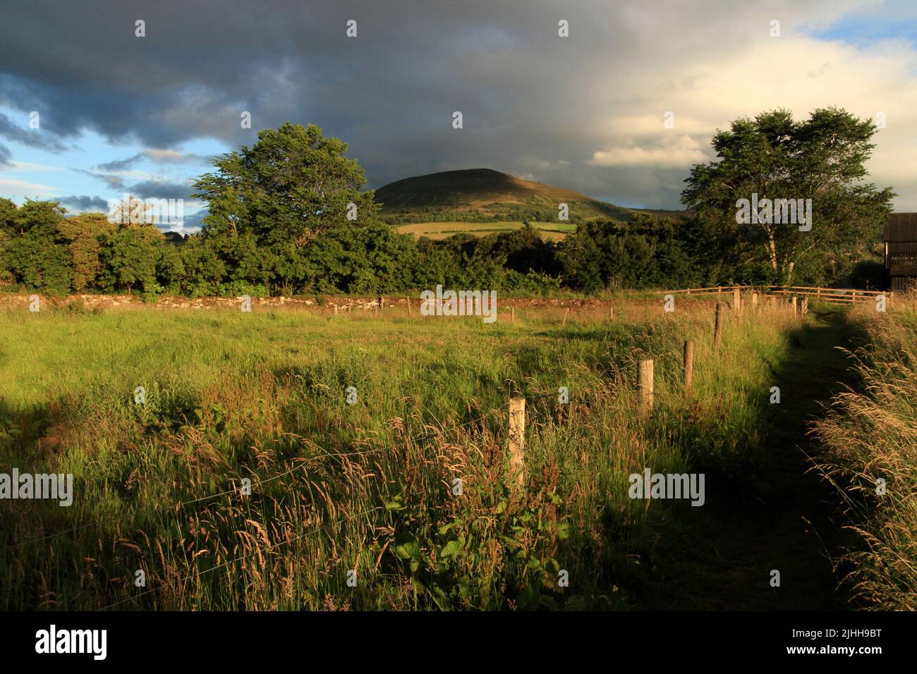 Countryside landscape, Green fields with the Eildon Hills in the ...