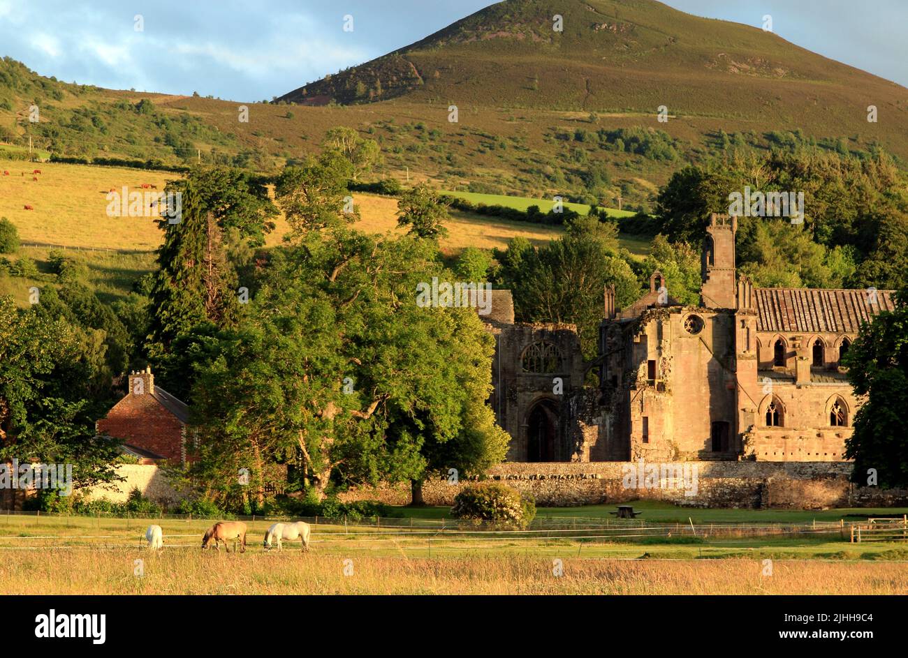 Scottish ruin, abbey ruin, Ruins Melrose Abbey, a Cistercian monastery ...