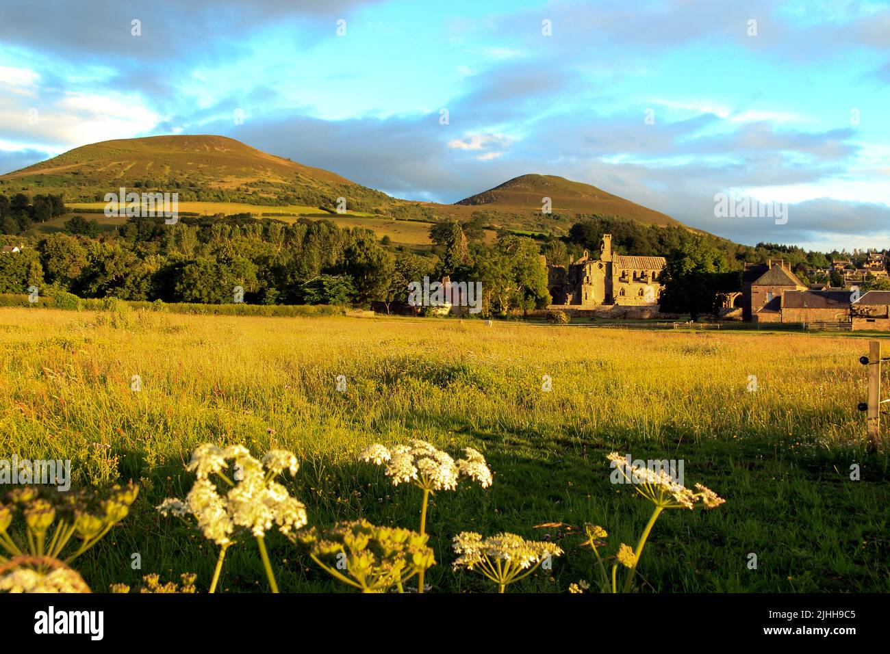 Scottish ruin, abbey ruin, Ruins Melrose Abbey, a Cistercian monastery ...
