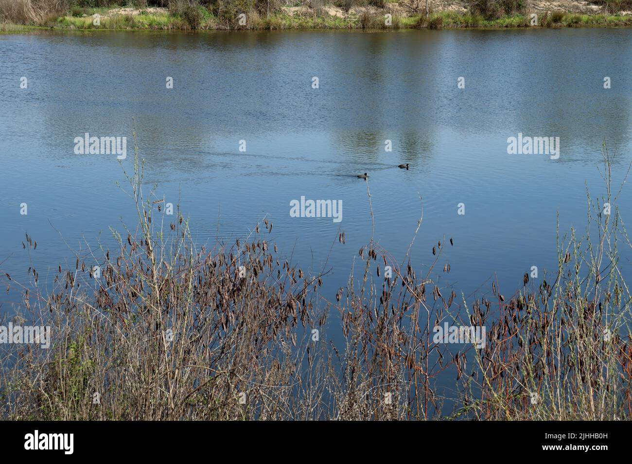 What can one see when walking along the San Joaquin River where it runs ...