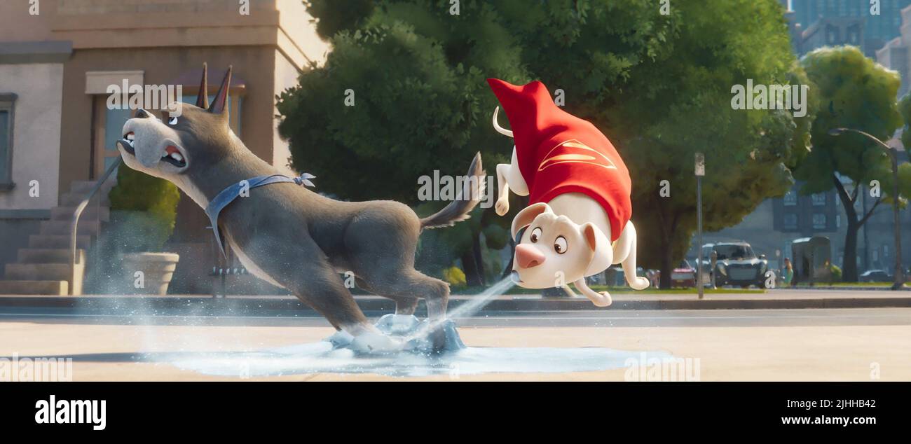 DC LEAGUE OF SUPER-PETS, (aka DC SUPER PETS), from left: Ace (voice ...