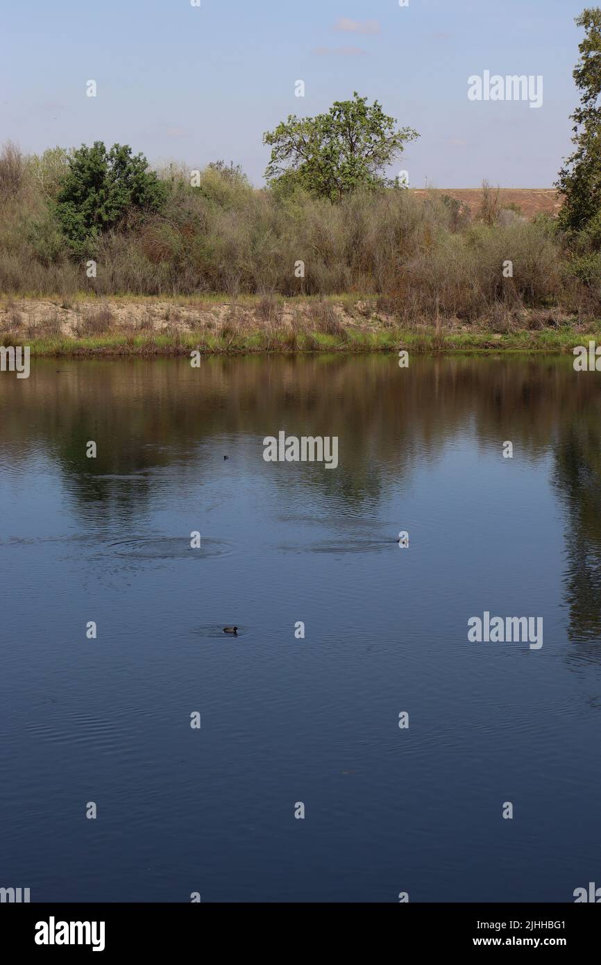 What can one see when walking along the San Joaquin River where it runs ...