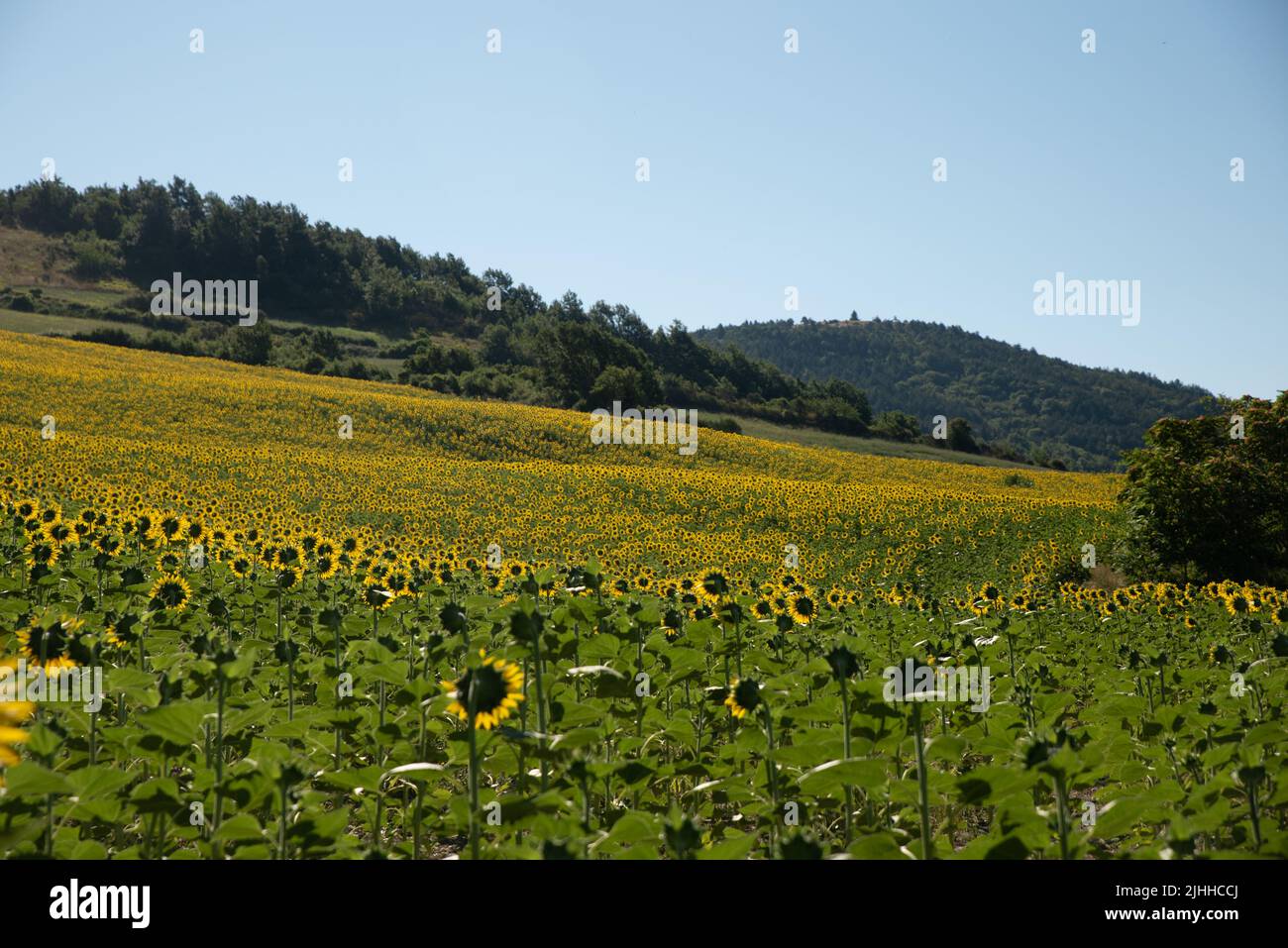 Marche region landscape hi-res stock photography and images - Alamy