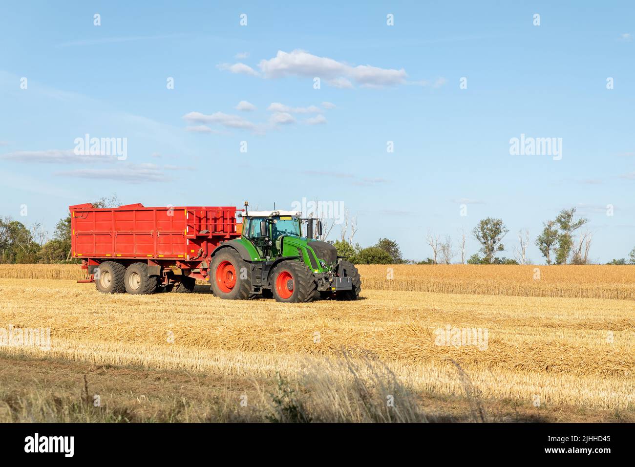 Big modern tractor trucker machine with full loaded with grain or ...
