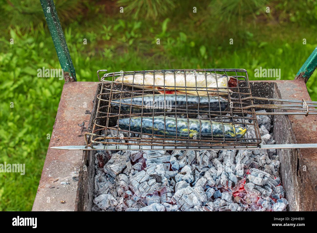 The process of cooking mackerel fish in a marinade on the grill. The ...