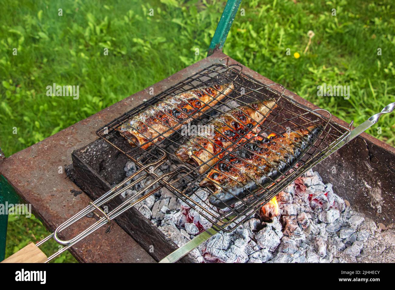 The process of cooking mackerel fish in a marinade on the grill. The ...