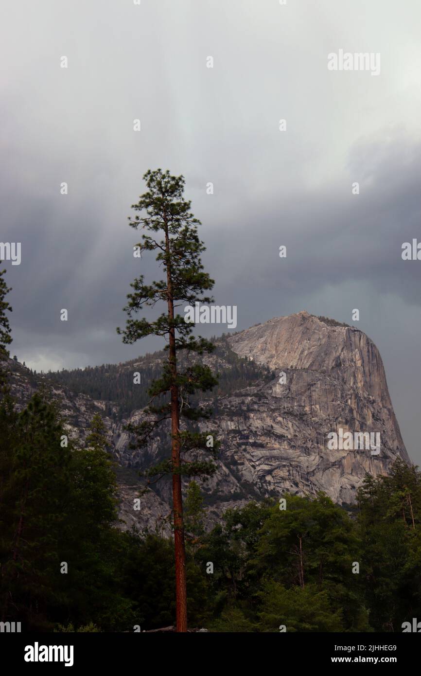 The view from the western edge of Mirror Lake in Yosemite looking east ...