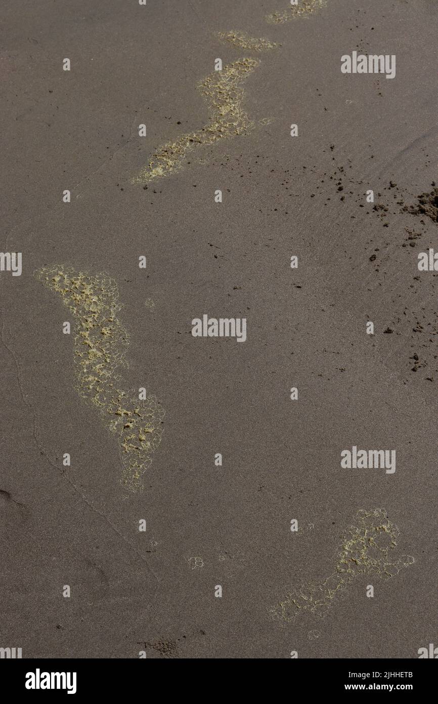 What is that yellow foamy stuff hi-res stock photography and images - Alamy