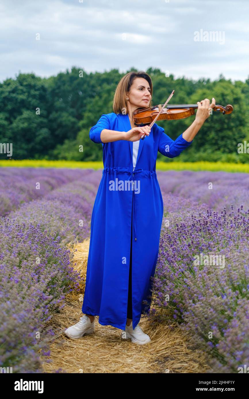 Full body adult woman violinist playing violin on summer lavender field ...