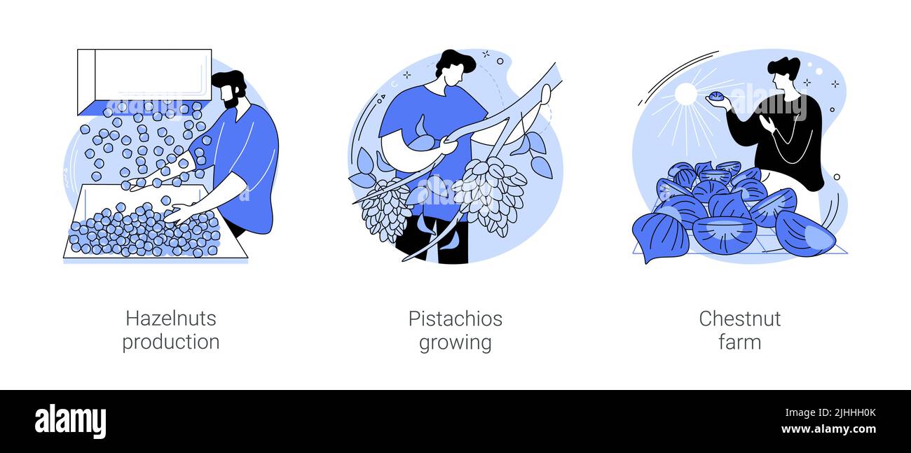 Tree nuts production isolated cartoon vector illustrations se Stock ...