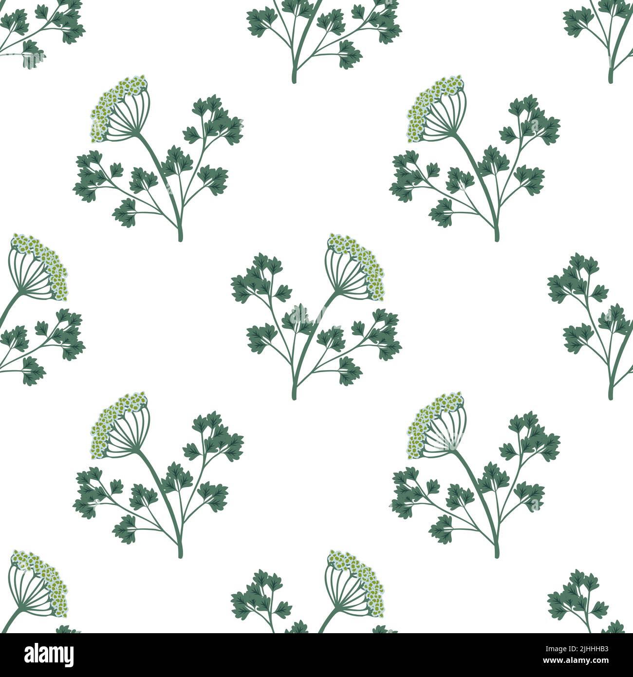 Print parsley Stock Vector Images - Alamy