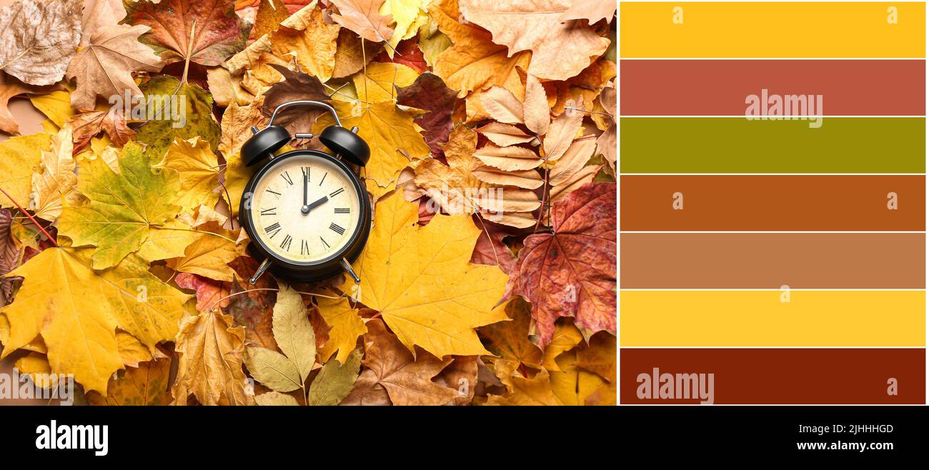 Alarm clock on autumn leaves. Different color patterns Stock Photo - Alamy
