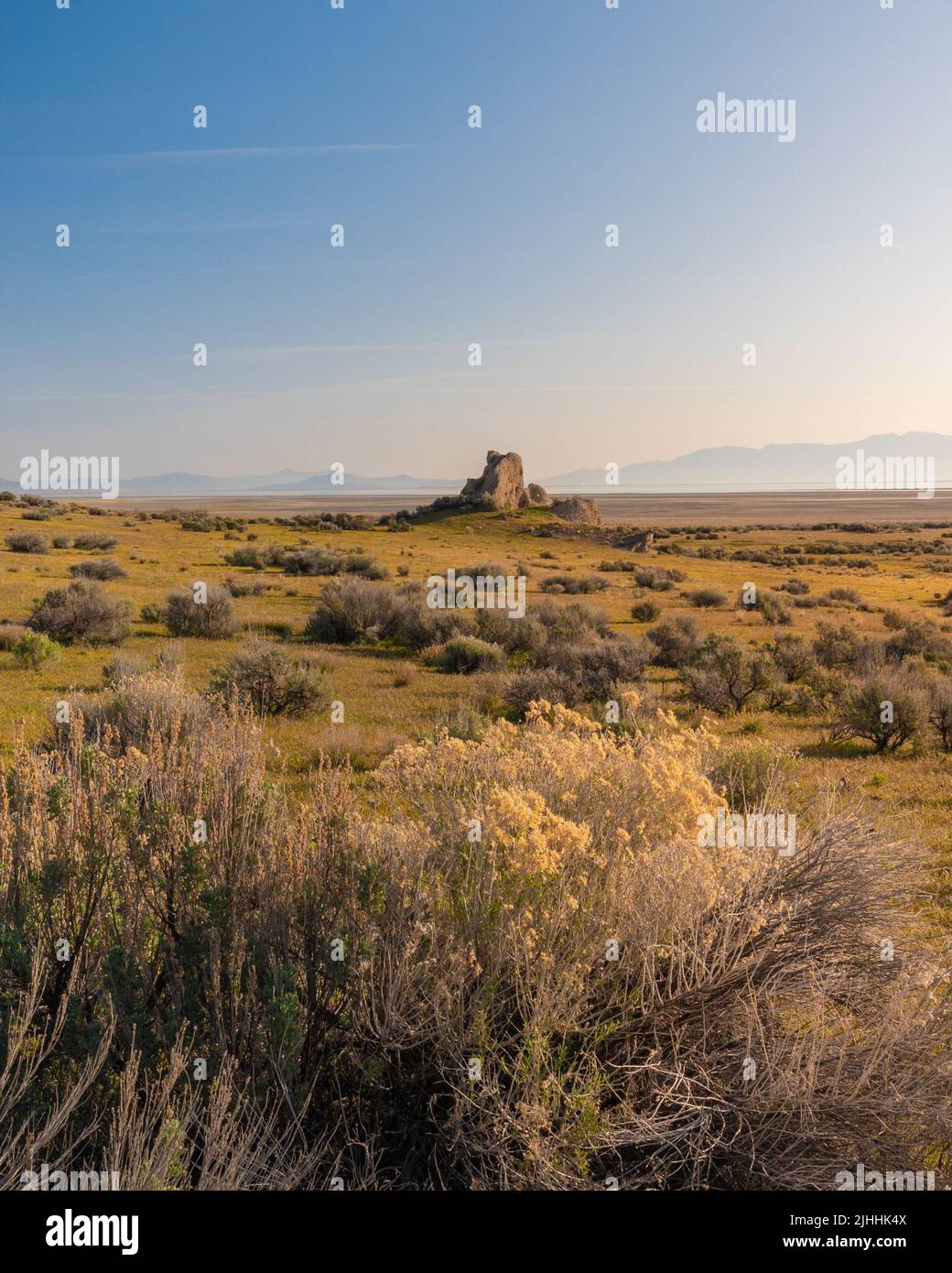 Peaceful tranquil landscape and nature near the Great Salt Lake in ...
