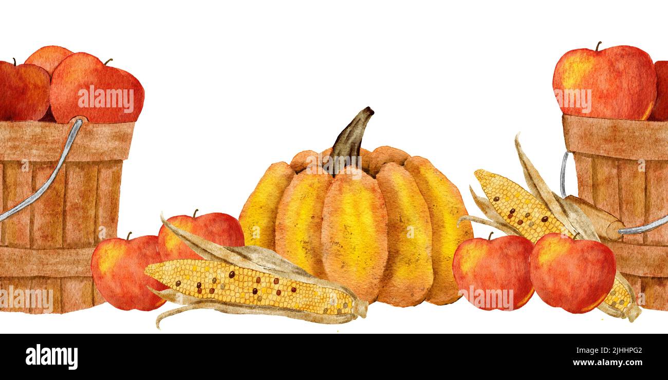 Harvest Corn Clip Art Border Harvest Themed A4 Page Borders (SB2855)