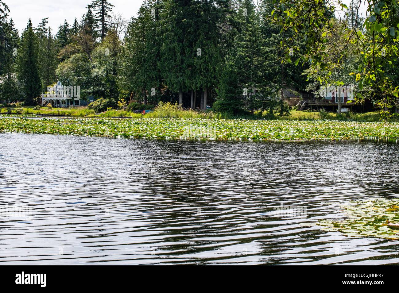 North pender island landscapes hi-res stock photography and images - Alamy