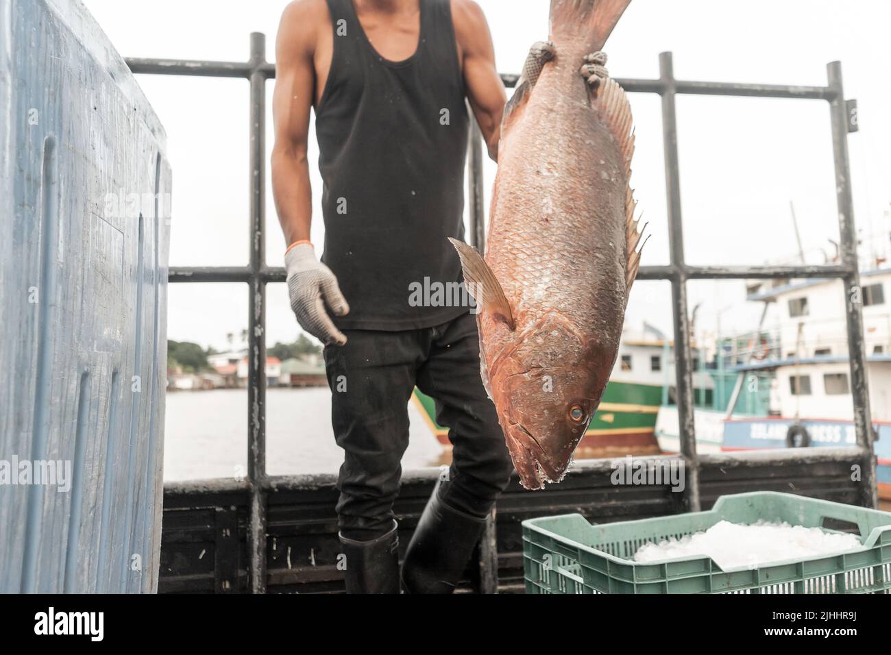 Unrecognizable latin fisherman showing off a huge fish Stock Photo - Alamy