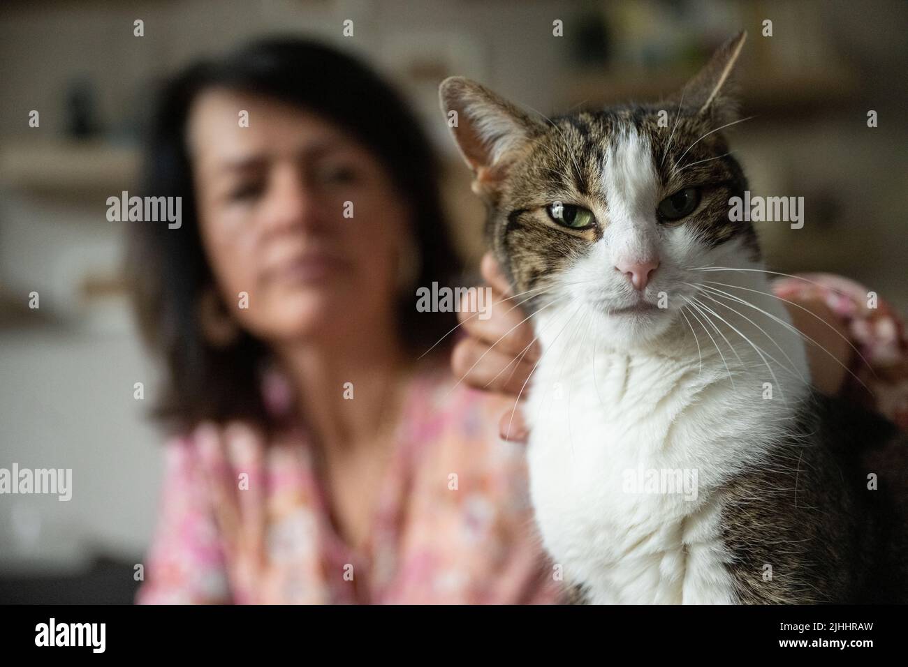 Walldorf, Germany. 13th July, 2022. Cat Mimi lets her owner Regina ...