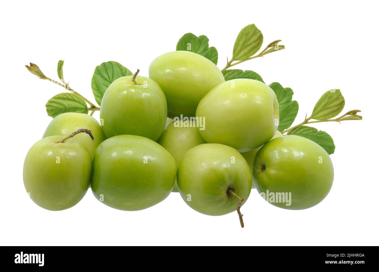 Jujube fruits isolated on white background Stock Photo - Alamy