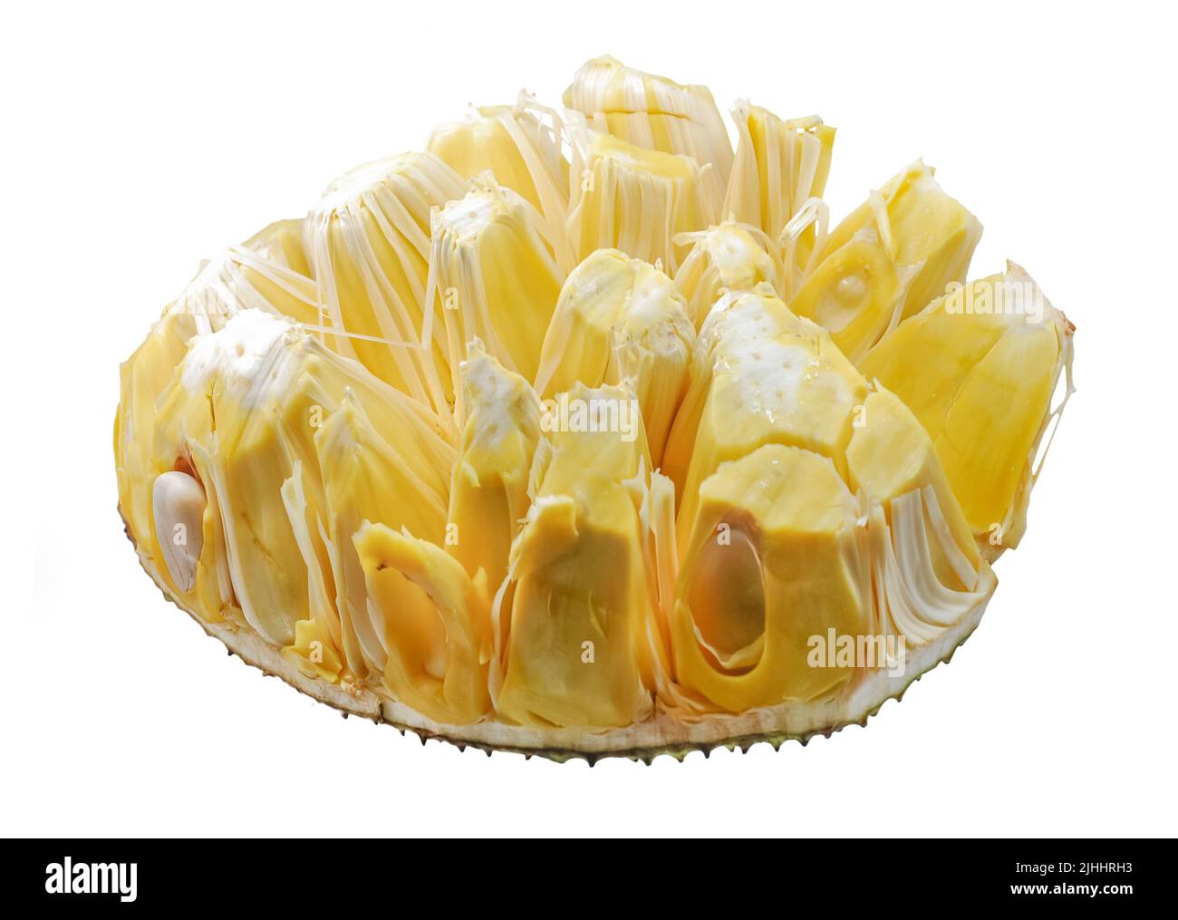 Single object of Jackfruit isolated on white background Stock Photo - Alamy