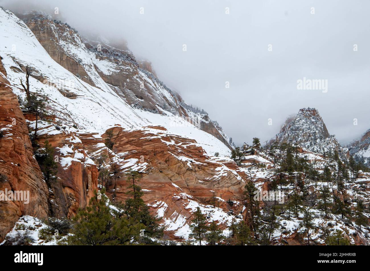 Zion National Park in Utah is filled with awe-inspired scenery Stock ...