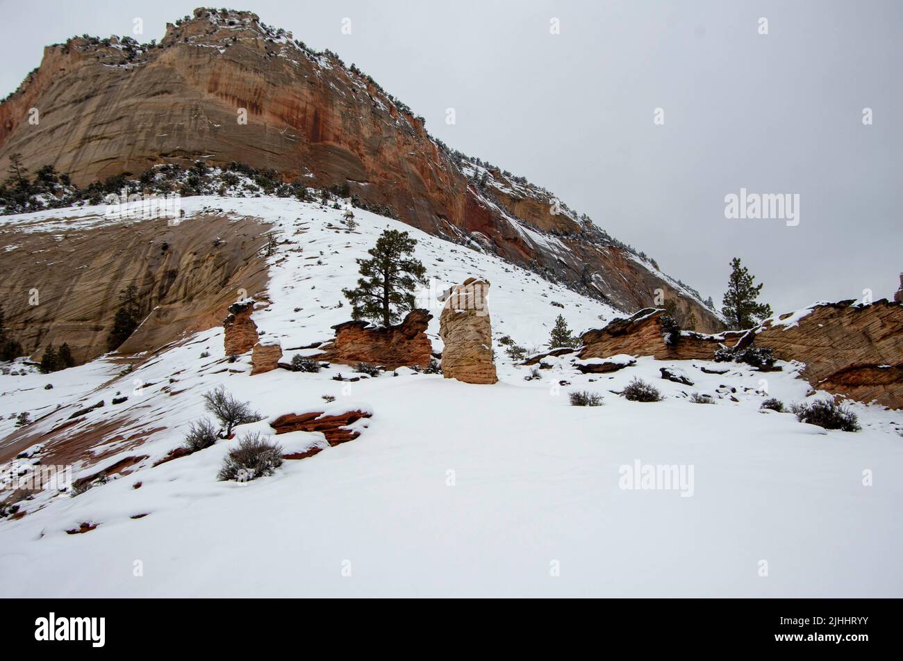 Zion National Park in Utah is filled with awe-inspired scenery Stock ...
