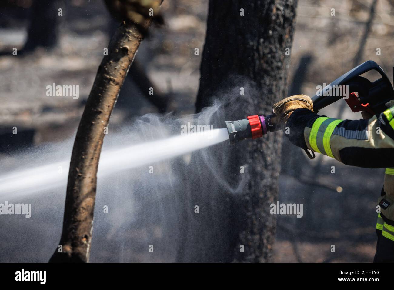 A fireman douses a forest with water to prevent new fires in the hills ...