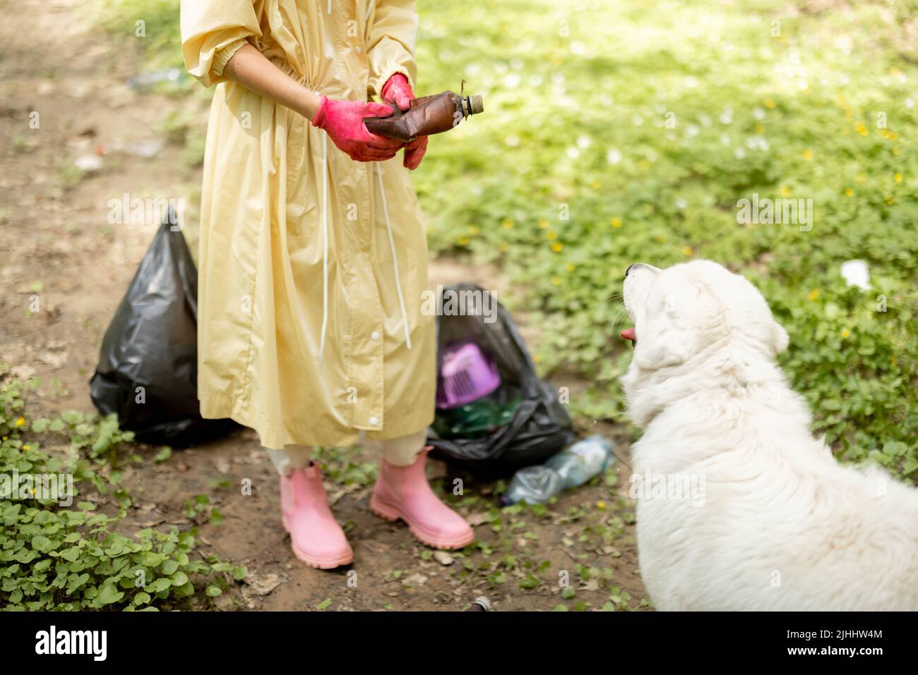 Woman collecting scattered plastic garbage in the woods Stock Photo - Alamy