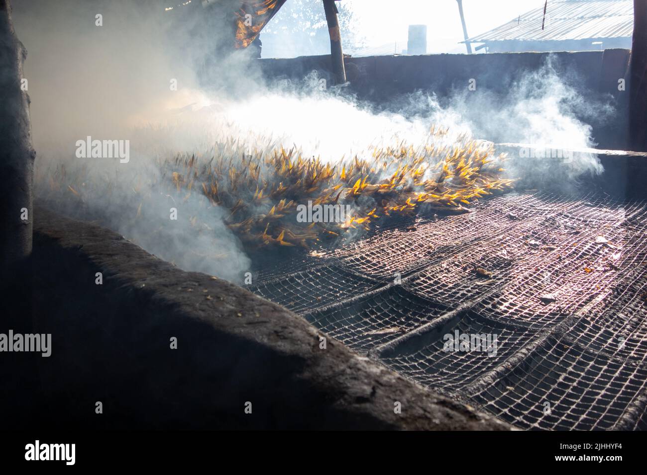traditional smokehouse for smoking fresh caught bonga fish (Ethmolosa ...