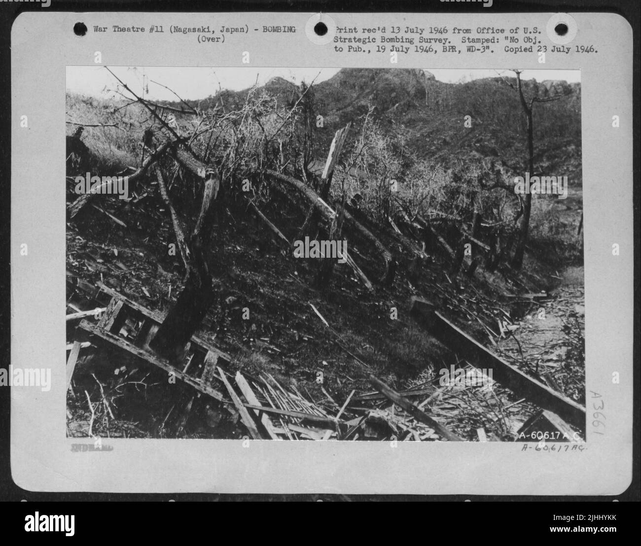 Trees Splintered By Atomic Blast On A Nagasaki Hillside, 2,700 Feet ...