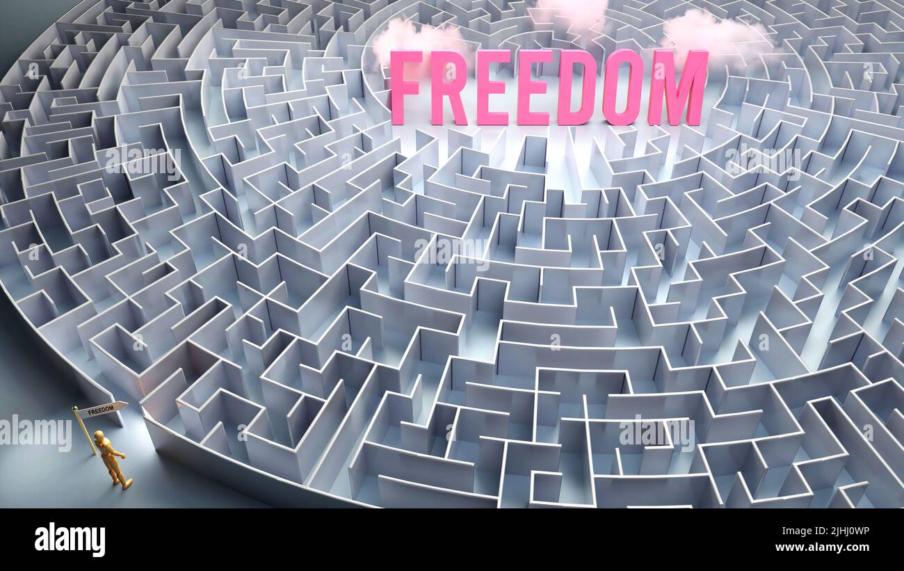 Freedom and a difficult path, confusion and frustration in seeking it ...