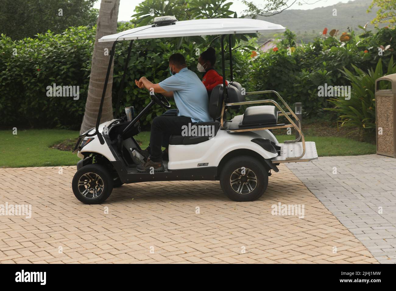 Golf cart and palm tree on blue in amber cove Stock Photo - Alamy