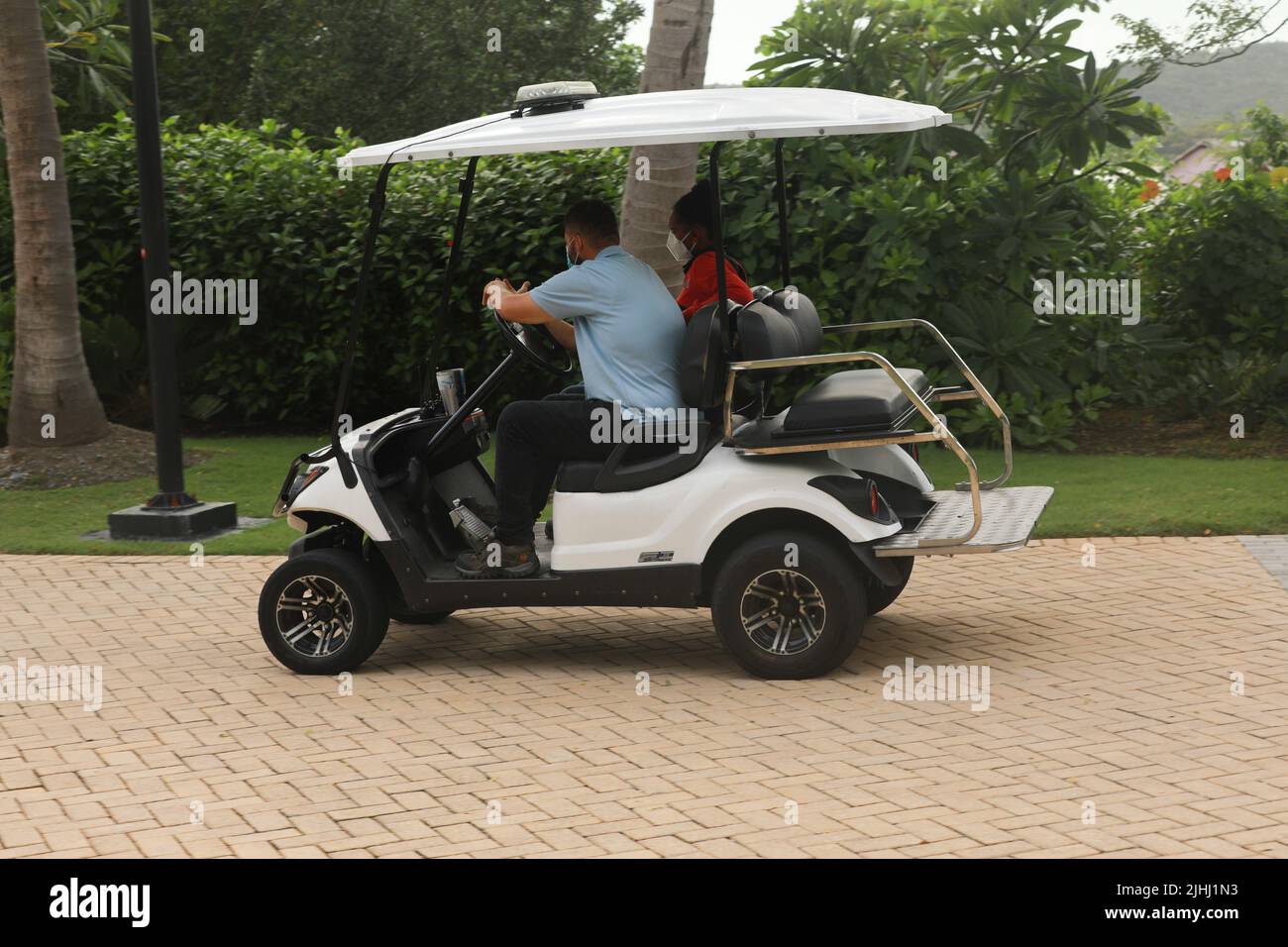 Golf cart and palm tree on blue in amber cove Stock Photo - Alamy
