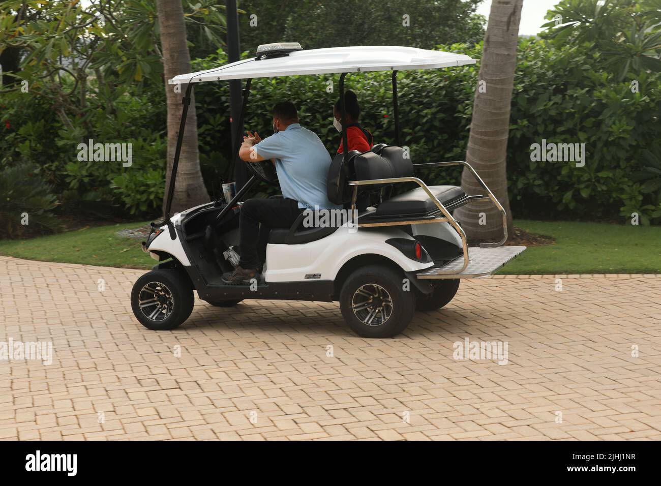 Golf cart and palm tree on blue in amber cove Stock Photo - Alamy