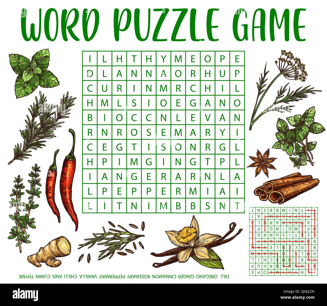 Herbs, spices and seasonings sketch, word search puzzle game worksheet ...