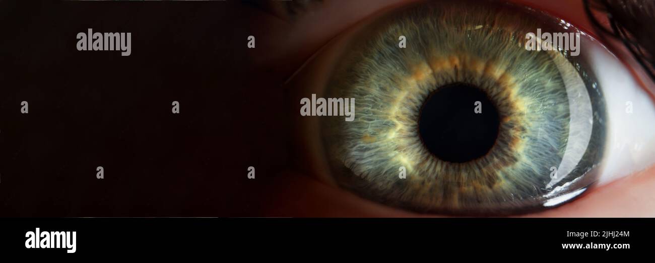 Persons eye, extreme macro shot of female or male sight organ, shadows ...