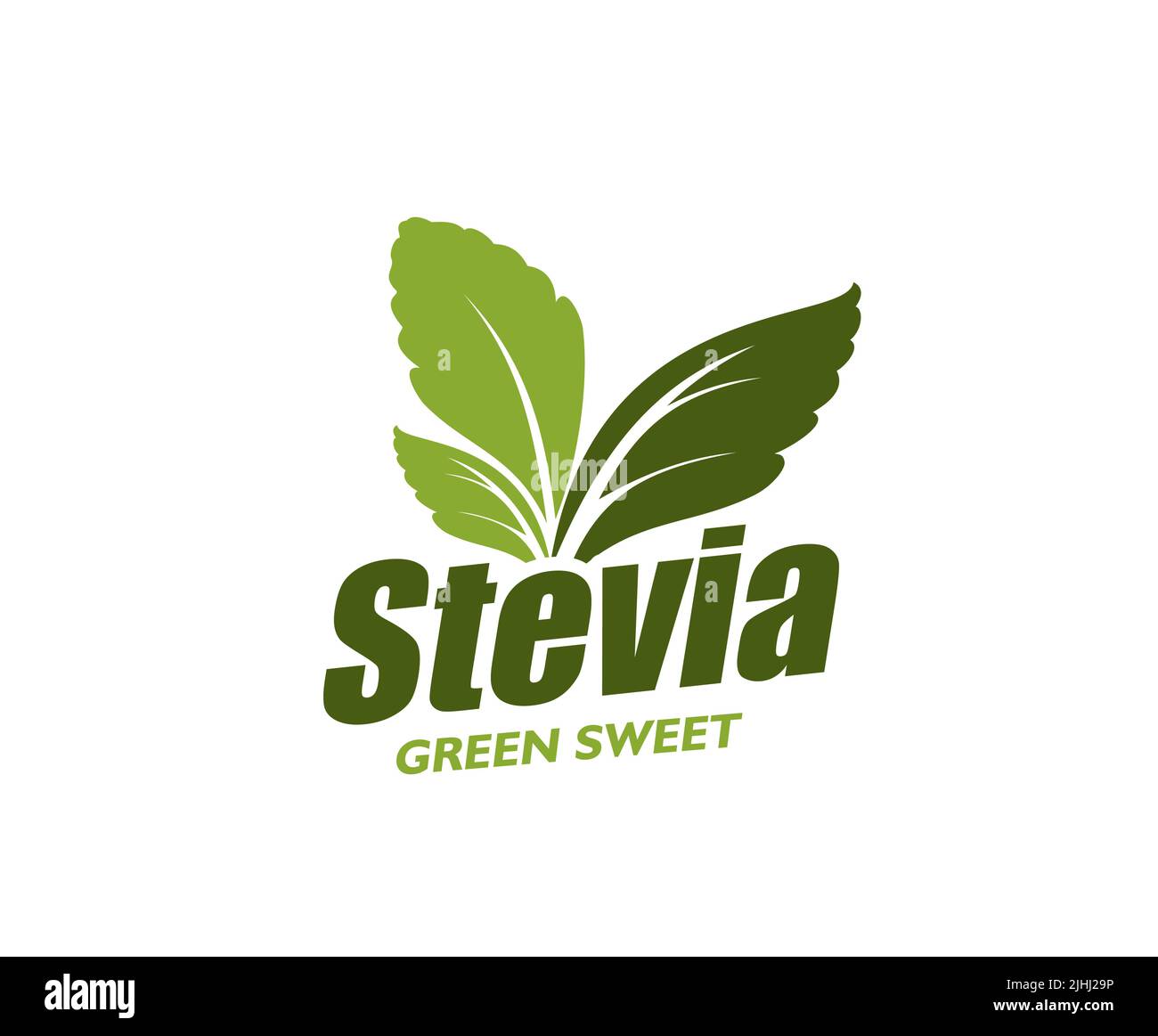 Sweet stevia leaves icon, organic sweetener or sugar substitute, vector ...