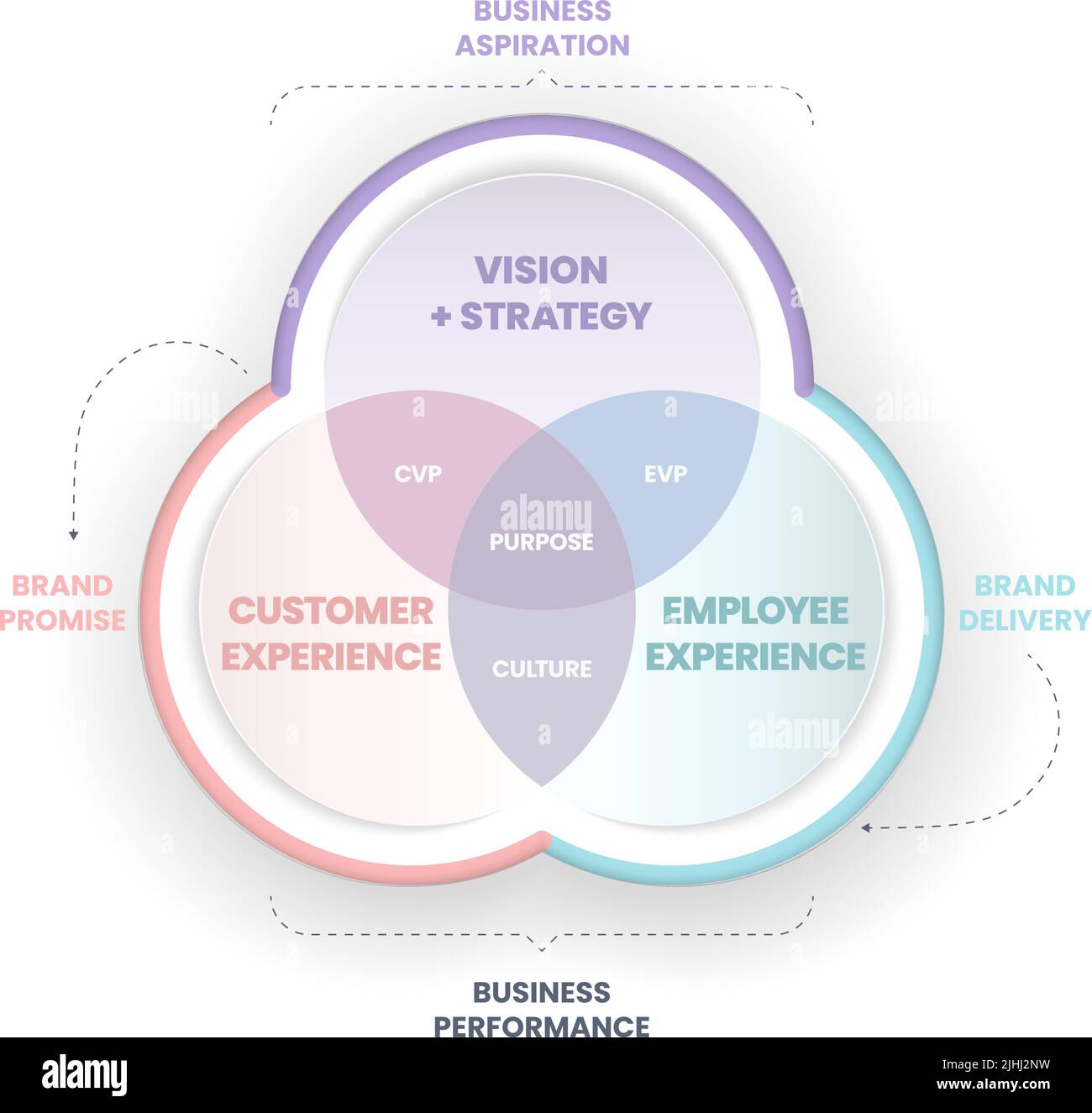 Brand strategy venn diagram has vison, image and culture is key to ...