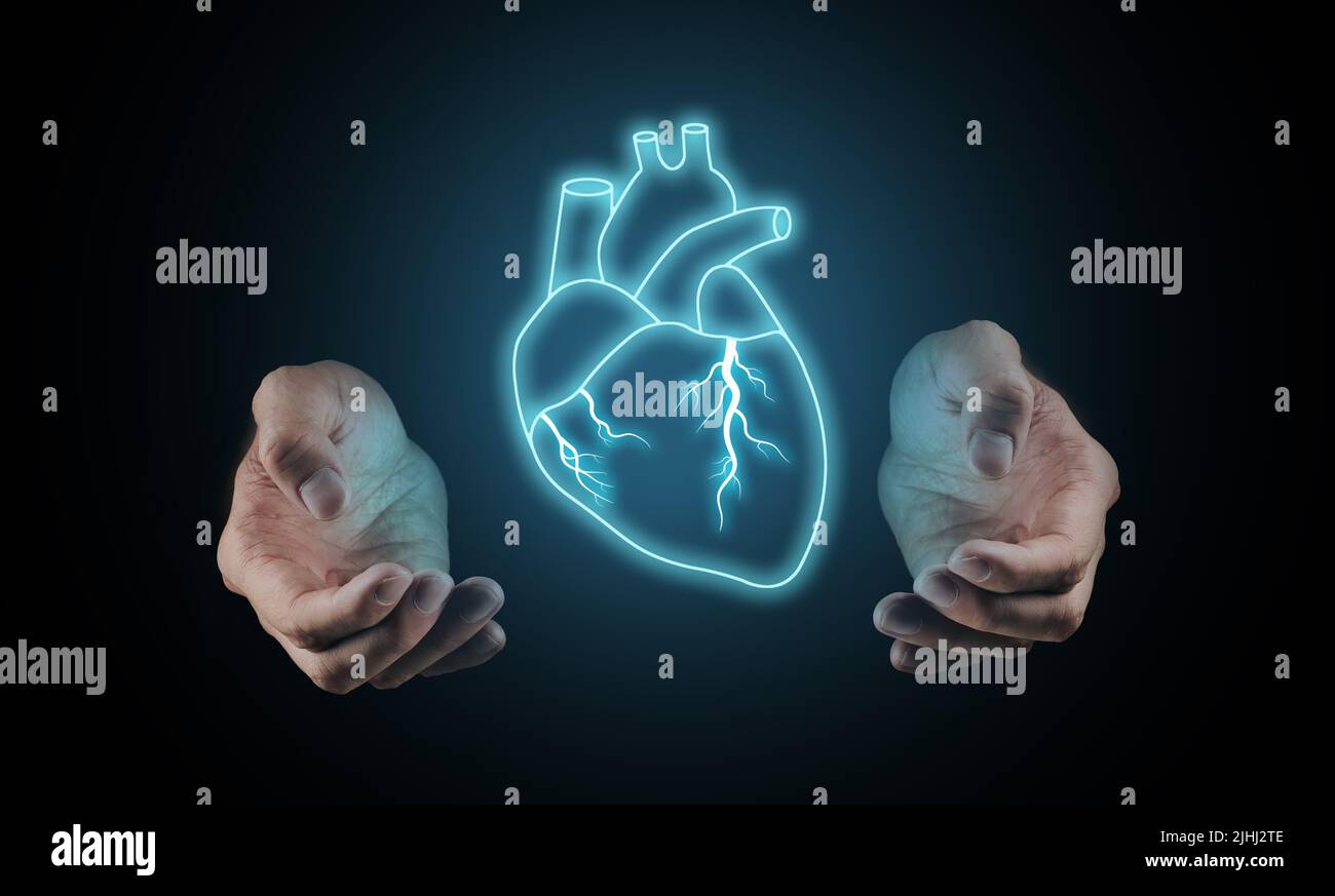 Virtual hologram human heart between doctor's hands on black background ...