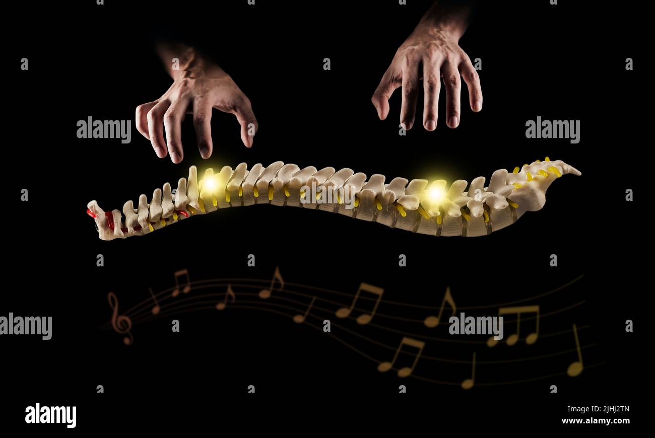 Osteopathy, concept. Osteopath professionally treating patient's spine ...